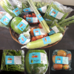Earth Food- A Step Towards Healthy Living from Farm To Your Doorstep ...