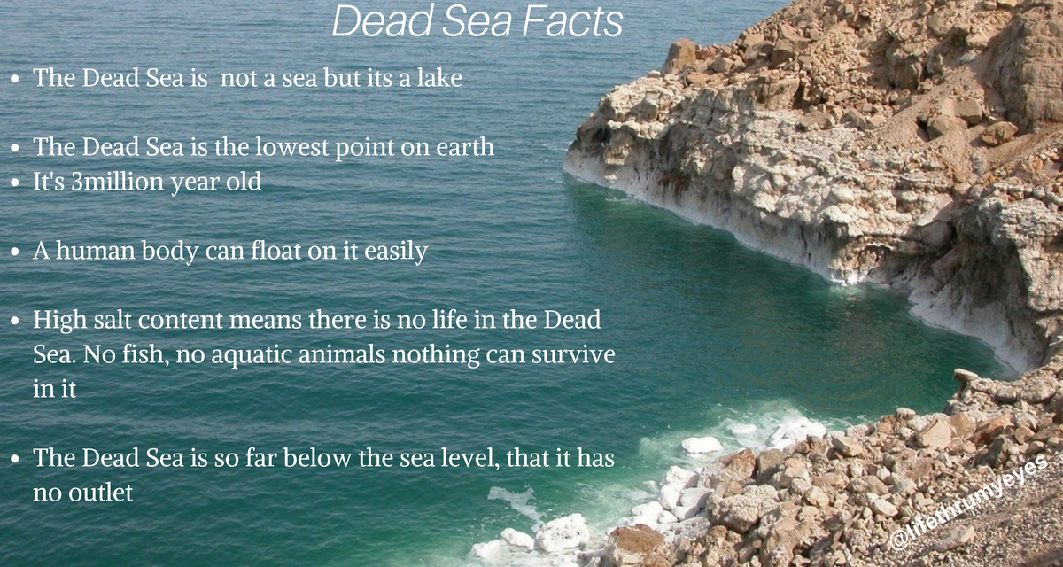 Things You Most Likely Didn’t Know About The Dead Sea & Skin Care