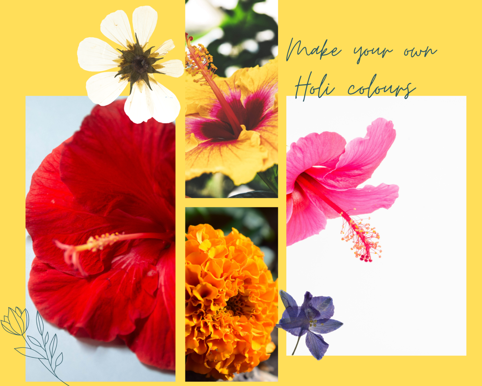 Eco-Friendly Holi tips for a safe and healthy environment