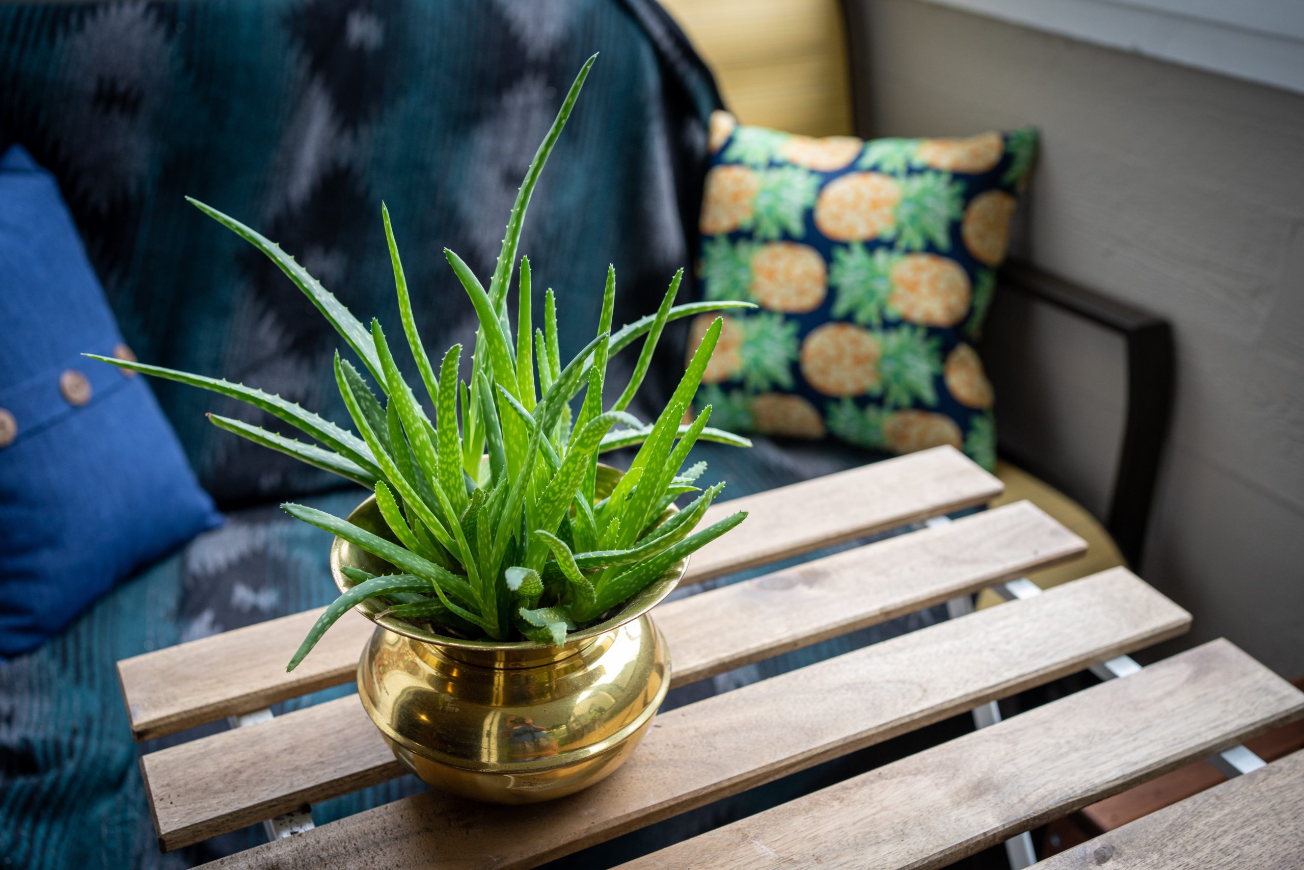 alexandra-tran-NVlPsi_Hmt0-unsplash - Lifethrumyeyes